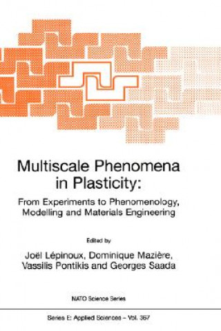 Multiscale Phenomena in Plasticity: From Experiments to Phenomenology, Modelling and Materials ...