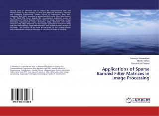 Applications of Sparse Banded Filter Matrices in Image Processing / Najlacnejšie knihy